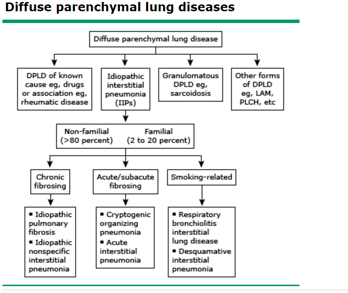 Interstitial Lung Disease Classification