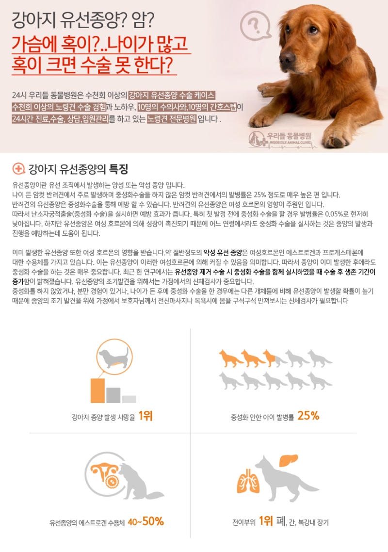 강아지 유선종양 수술 네이버 블로그