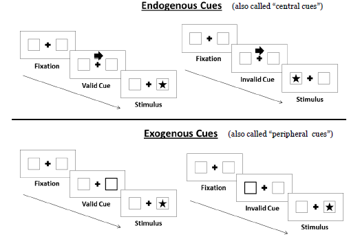 [인지심리학/Cognitive Psychology] Attention and Performance2 : Visual ...