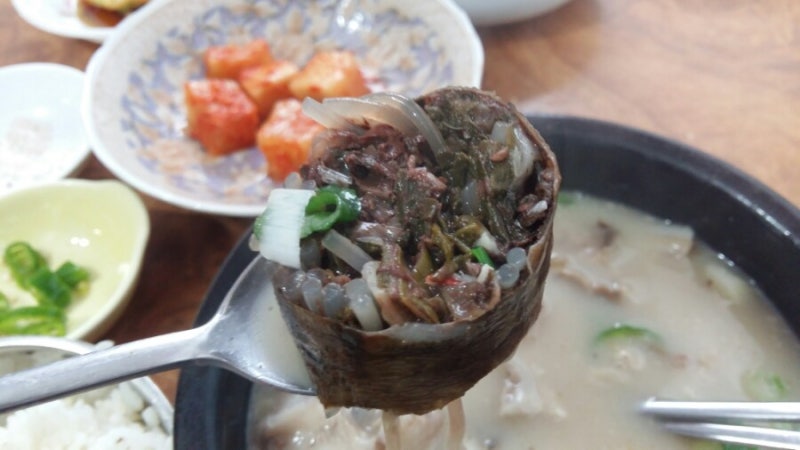 대전 유성구맛집 유성시장의 역사 부산식당 네이버 블로그