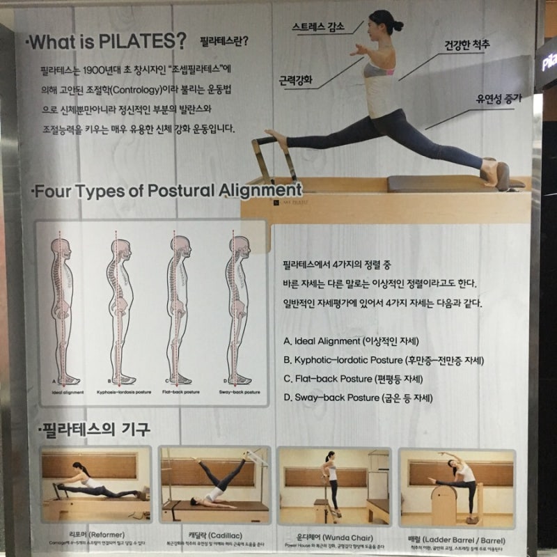 신구 스포츠 센터 압구정 신사동 청정수 수영장 헬스 가로수길 네이버 블로그