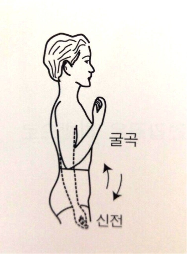 팔꿉관절elbow Joint과 아래팔의 기능해부에 대해 네이버 블로그