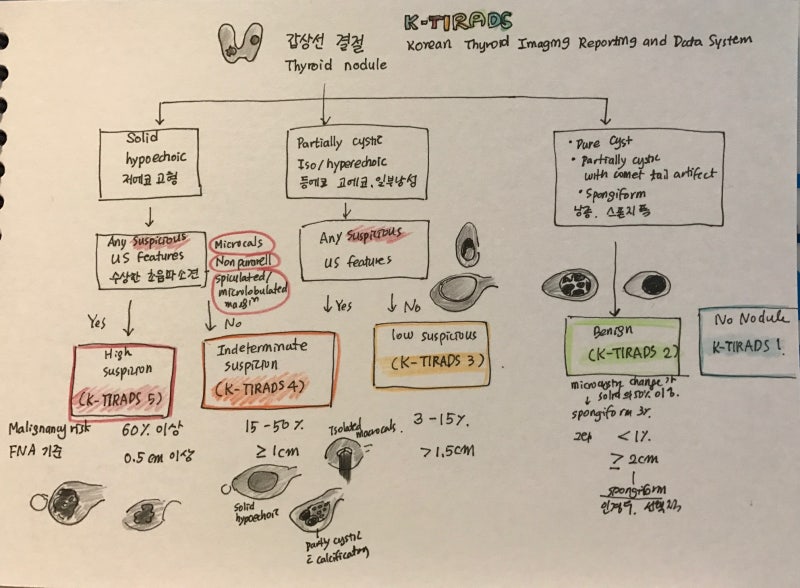 US-based management of thyroid nodules: 2016 K-TIRADS : 네이버 블로그