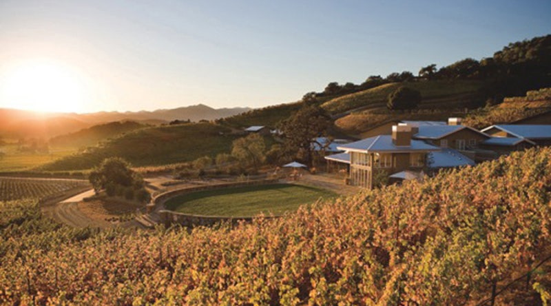 Shafer, Red Shoulder Ranch Chardonnay, Napa Valley Carneros, 2014 (쉐이퍼 ...