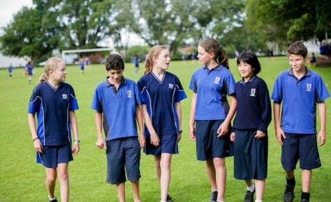 뉴질랜드조기유학 | 오클랜드 노멀 인터미디엇 스쿨 Auckland Normal Intermediate School : 네이버 블로그