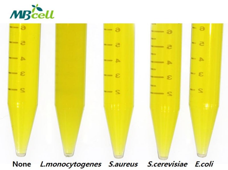 Listeria Enrichment Broth MB-L2192 : 네이버 블로그