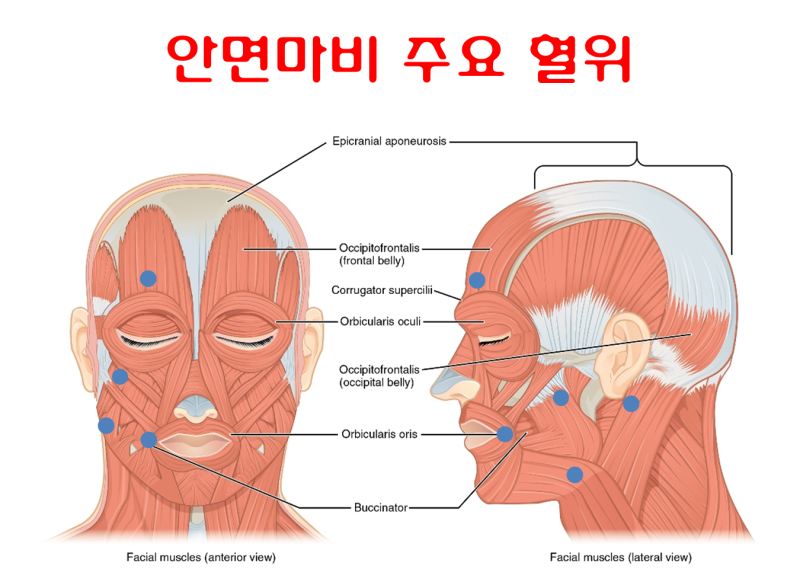 천호동 안면마비 치료 병원몸바른 한의원 네이버 블로그