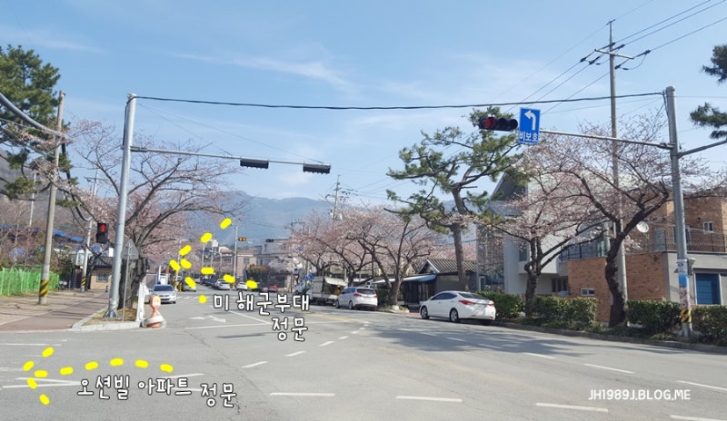 진해 군항제 미군부대 개방일정48 토요일 단 하루 네이버 블로그