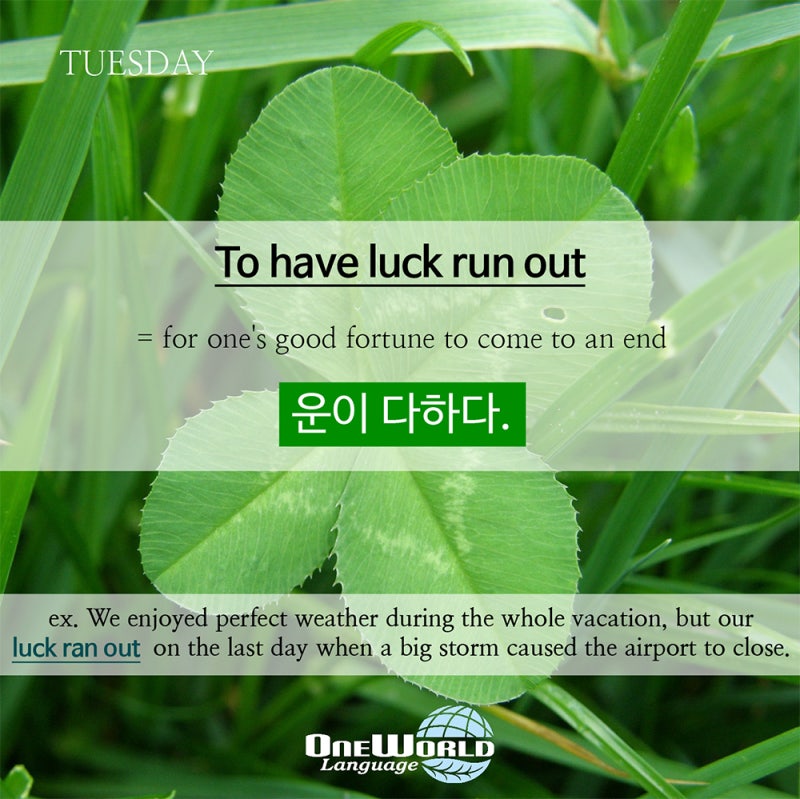 [영숙어] a stroke of luck / To have luck run out / push one's luck / no ...
