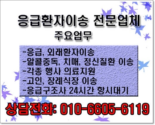 사설구급차 신촌세브란스~분당제생병원 파킨슨환자이송 구급차이용방법 네이버 블로그