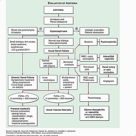 급성 신손상의 임상양상, 진단, FENA, RFI, Postrenal AKI, Azotemia evaluation : 네이버 블로그