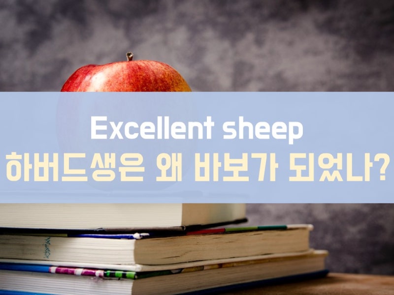 Excellent sheep : 하버드생은 왜 바보가 되었나? : 네이버 블로그