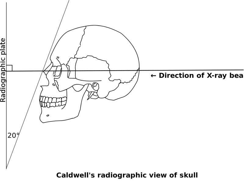 WATERS' VIEW, etc. : 네이버 블로그