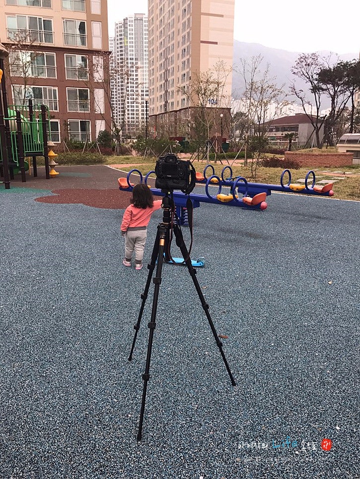 DSLR 삼각대 CQ556 전문가용으로 손색없군 : 네이버 블로그