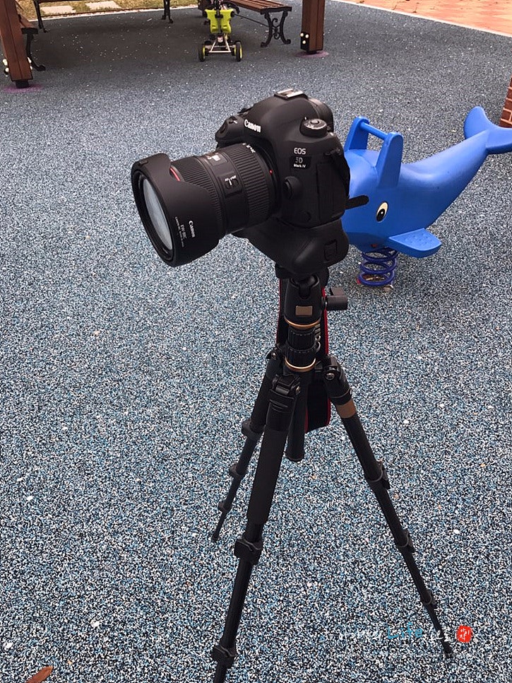 DSLR 삼각대 CQ556 전문가용으로 손색없군 : 네이버 블로그