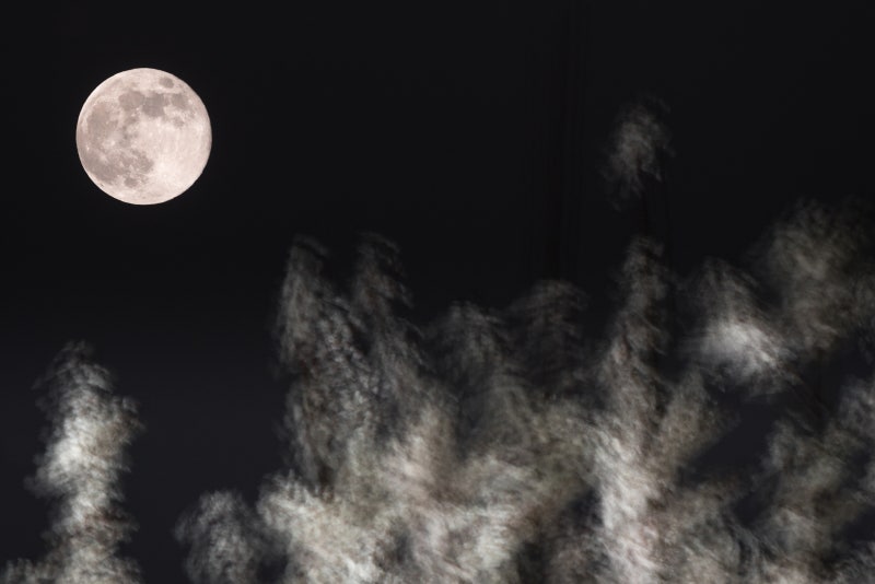 바람에 흔들리는 벚꽃과 음력 3월의 보름달 / 벚꽃과 보름달 : 네이버 블로그