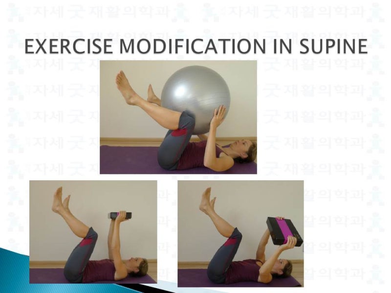 DNS(dynamic neuromuscular stabilization) exercise - 병원 발표 자료 - 1 : 네이버 블로그