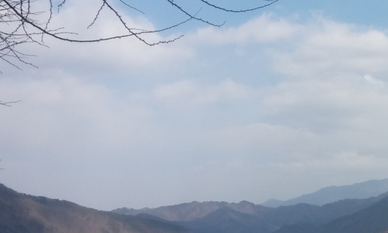보상협의회 설치·구성·운영 임의적 의무적 토지수용 토지보상 토지소유자 이해관계인 협의사항 토지보상법 개별법