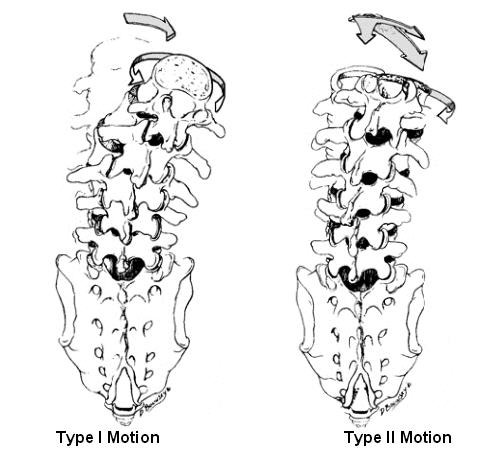 척추의 움직임 - Fryette's law 3 법칙 : 네이버 블로그