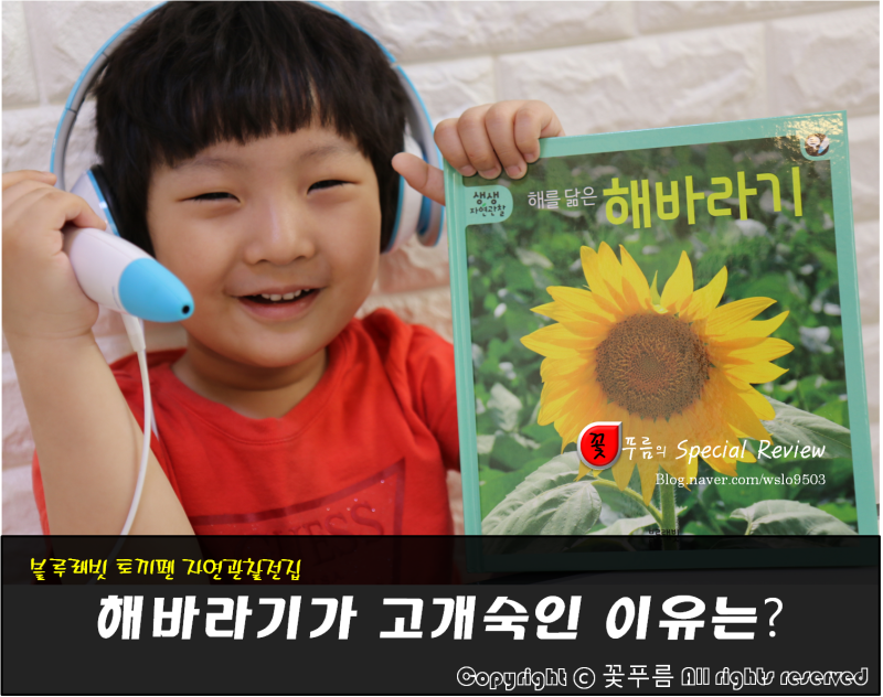 토끼펜 자연관찰전집 해바라기가 고개 숙인 이유 네이버 블로그