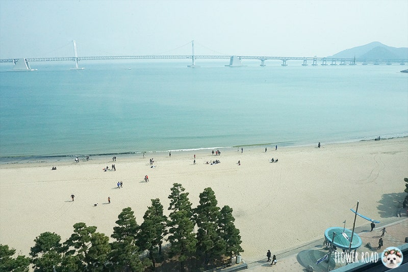 부산 광안리 숙소 에어비앤비 광안대교 뷰 최고♡ 네이버 블로그