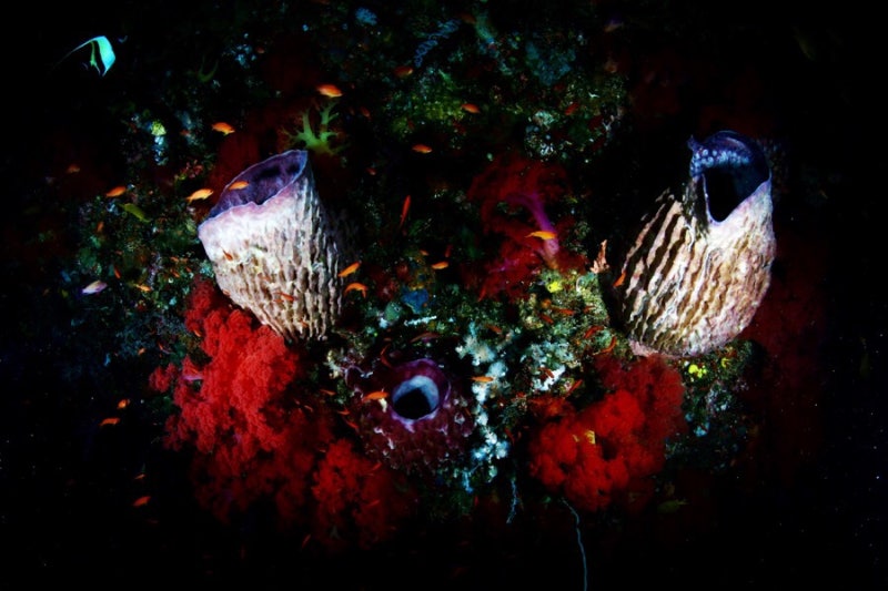 보라카이/Maniguin Island 무인도 투어 : 네이버 블로그