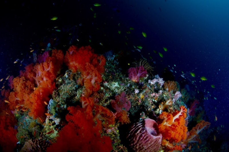 보라카이/Maniguin Island 무인도 투어 : 네이버 블로그