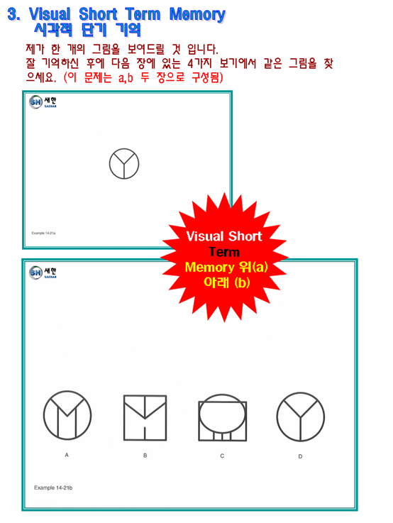 MVPT(시지각 검사도구) : 네이버 블로그