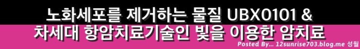 노화세포를 제거하는 물질 UBX0101 & 차세대 항암치료기술인 빛을 이용한 암치료 - [건강 관리 상식 391] : 네이버 블로그