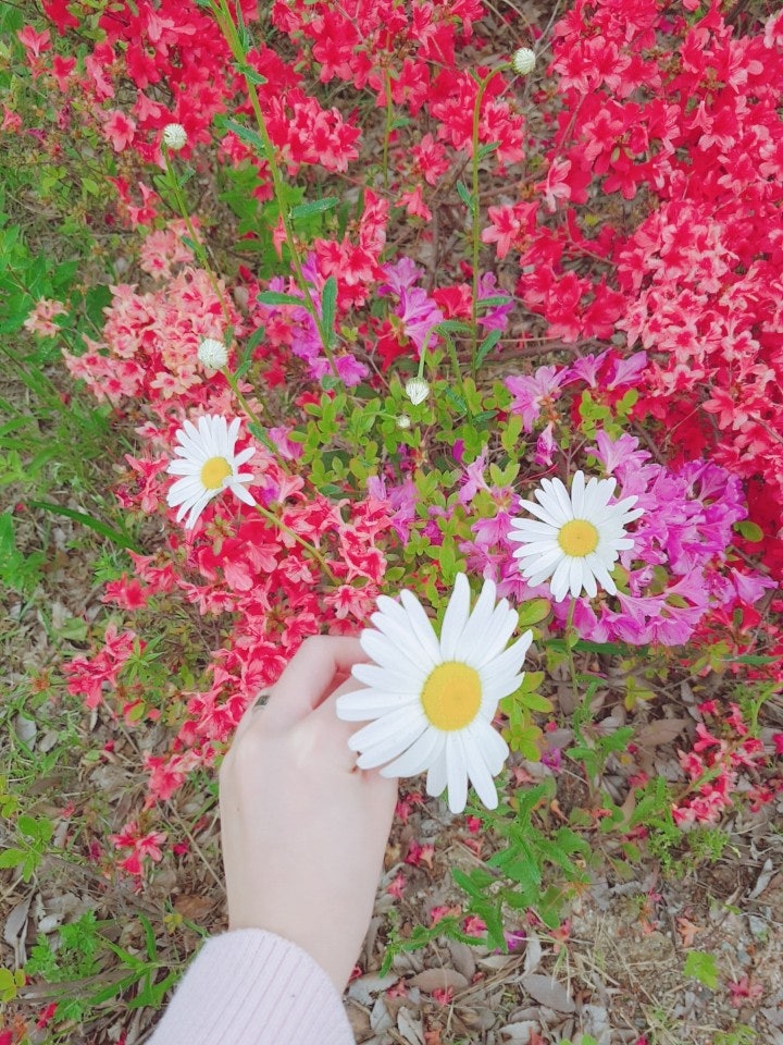 ♥노래방에서 부르기 쉬운 여자 노래 추천♥ 네이버 블로그