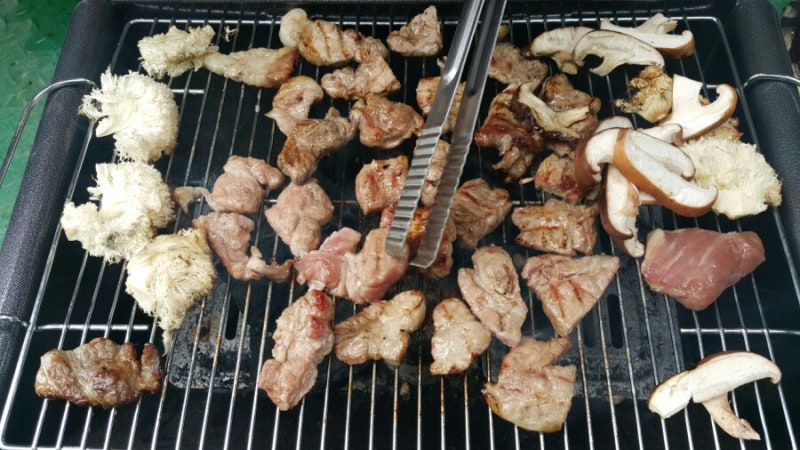 표고버섯재배표고배지 배양관리 방법노루궁뎅이버섯노루궁뎅이버섯재배 네이버 블로그