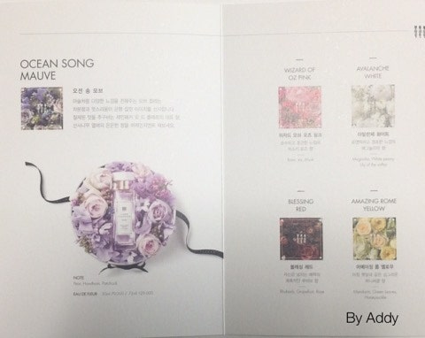 [Jane Packer] Perfume Effecter 5월 보통모임 & Jane Packer 향수 : 네이버 블로그