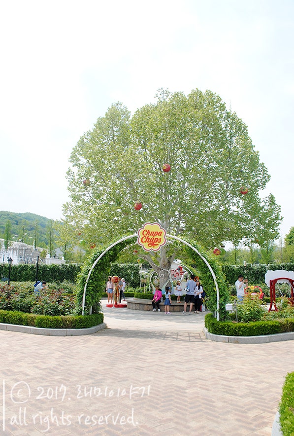 용인 환상의나라 에버랜드~ 200배 즐기기 팁! : 네이버 블로그