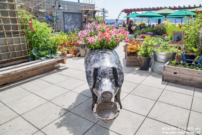 시애틀 파이크 플레이스 마켓seattle Pike Place Market 껌 벽 스타벅스 1호점 네이버 블로그