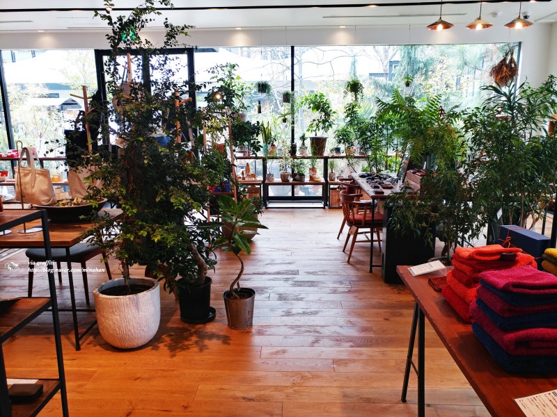 테노하 (TENOHA), 일본 인테리어 & 주방용품 편집숍_도쿄 : 네이버 블로그