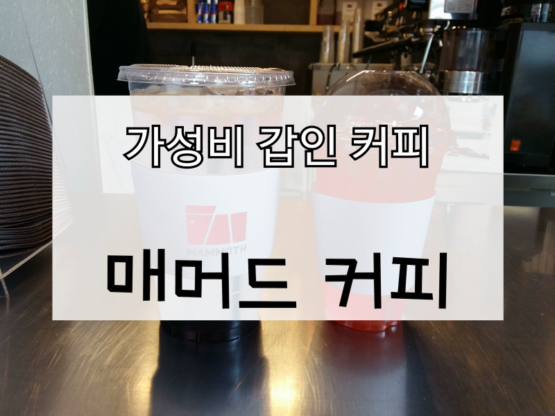 교대역 가성비 쩌는 맘모스급 커피 매머드 커피 네이버 블로그