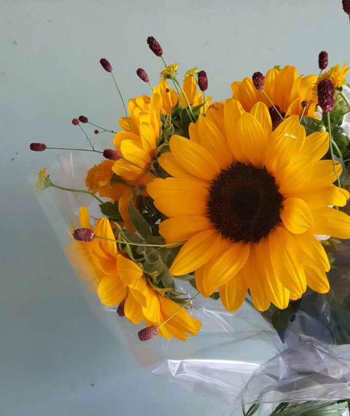 기다림이란 꽃말을 가진 해바라기 : 네이버 블로그