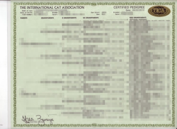 각 협회 혈통등록증과 혈통서 바로알기 : 네이버 블로그