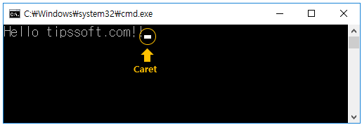 Windows 콘솔에서 Caret 위치 설정하기 : 네이버 블로그