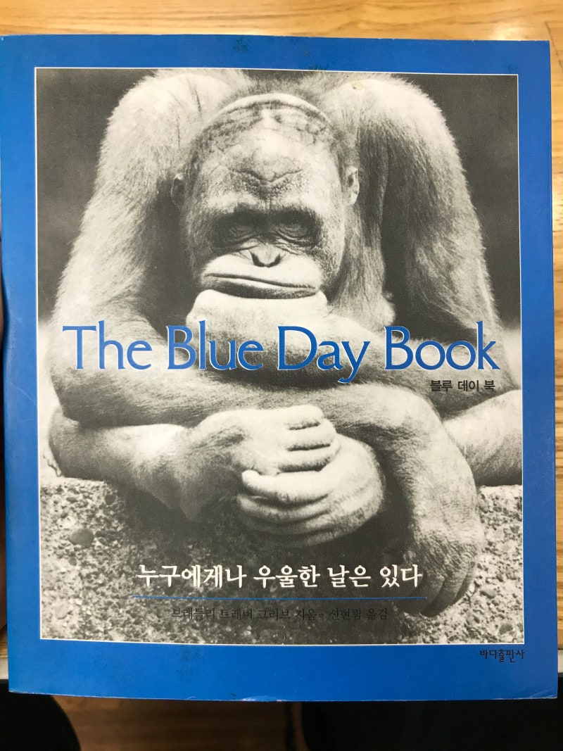 'The Blue Day Book(더 블루 데이 북)'을 읽고 : 네이버 블로그