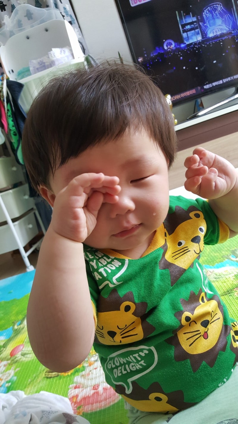 11개월 아기와 유모차 가지고 버스타기 성공 네이버 블로그