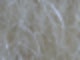 기모가공 brushing finish or raising finish : 네이버 블로그