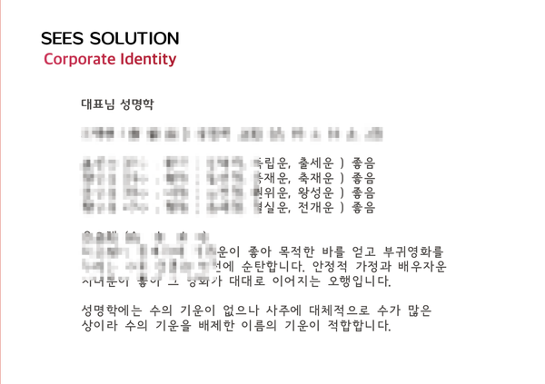 송파 잠실 음양오행 로고 디자인 솔루션 소프트웨어회사 기업 이름 작명과 음양오행 로고디자인 네이버 블로그