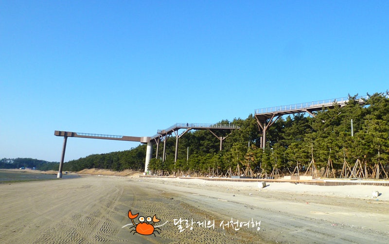 충남 서천펜션 2 선도리 갯벌체험 그리고 펜션 소개 네이버 블로그