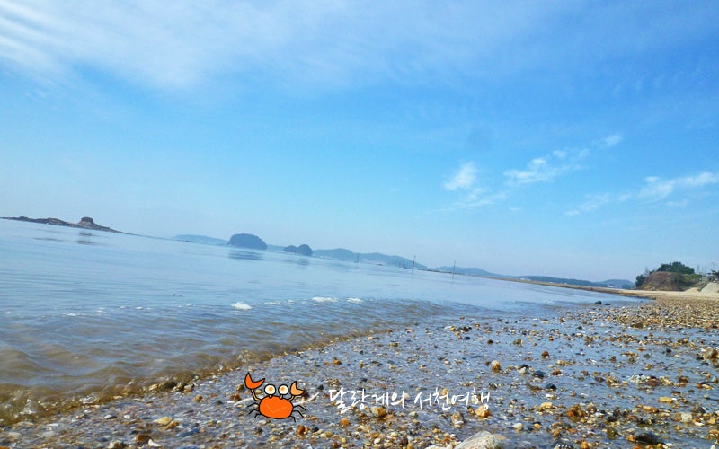 충남 서천펜션 2 선도리 갯벌체험 그리고 펜션 소개 네이버 블로그