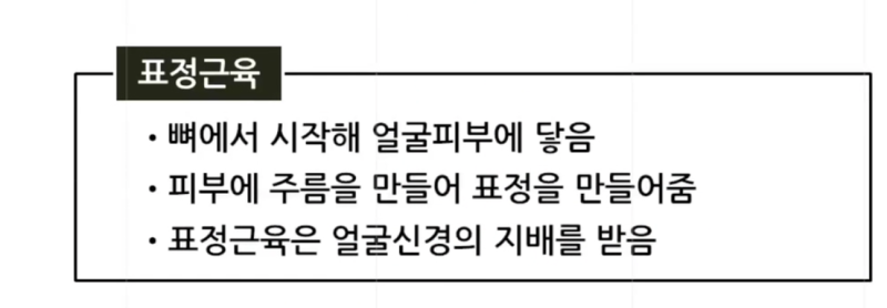 인체해부학 얼굴근육 표정근육저작근육 쉽게 파헤치기 네이버 블로그