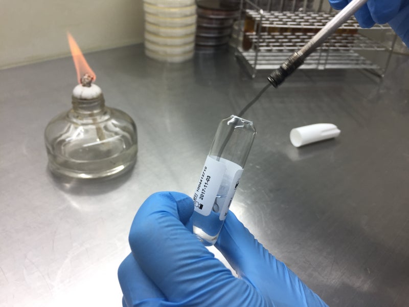 미생물 확인시험/생화학실험 API kit : 네이버 블로그