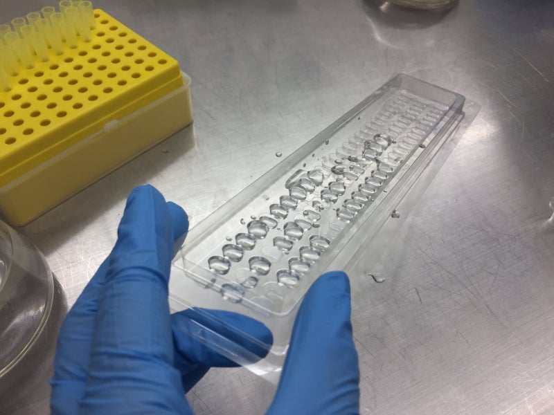 미생물 확인시험/생화학실험 API kit : 네이버 블로그