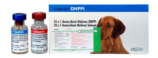 [논현 노바약국] 노비박 DHPPi :강아지 4종 혼합백신 : 네이버 블로그