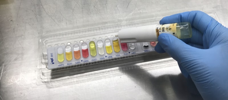 미생물 확인시험/생화학실험 API kit : 네이버 블로그